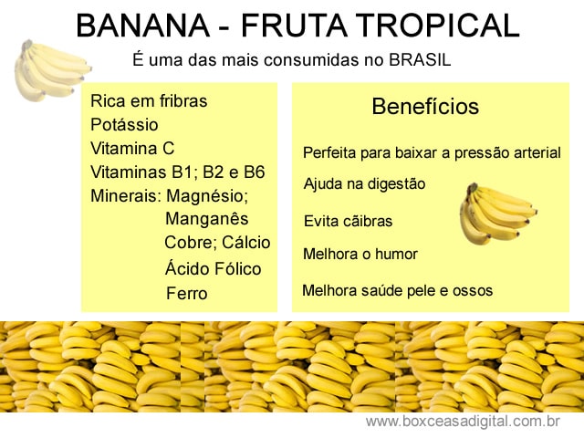 O Poder da Banana | Mundo Ecologia