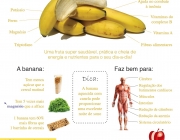 O Poder da Banana | Mundo Ecologia