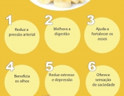 Banana Prata Faz Mal? – Mundo Ecologia
