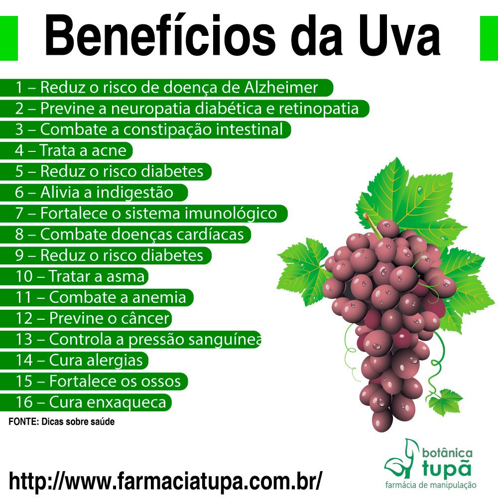 Uva é Fruto Ou Pseudofruto Mundo Ecologia