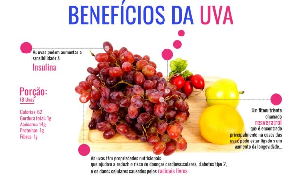Uva é Fruto ou Pseudofruto? – Mundo Ecologia