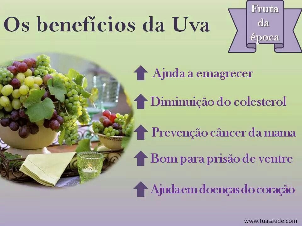Uva é Fruto ou Pseudofruto? – Mundo Ecologia