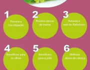 Uva é Fruto ou Pseudofruto? – Mundo Ecologia