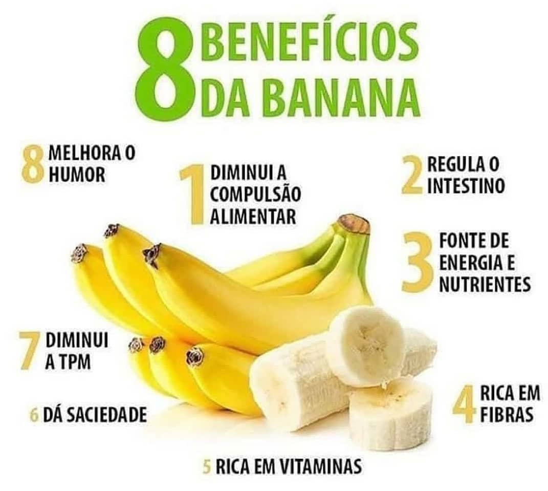 Tudo Sobre Bananeiras | Mundo Ecologia