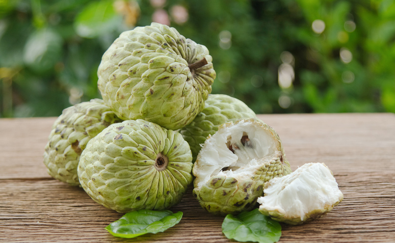 Frutos Múltiplos – Mundo Ecologia