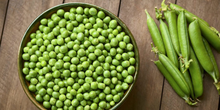 Curiosidades Sobre a Ervilha | Mundo Ecologia