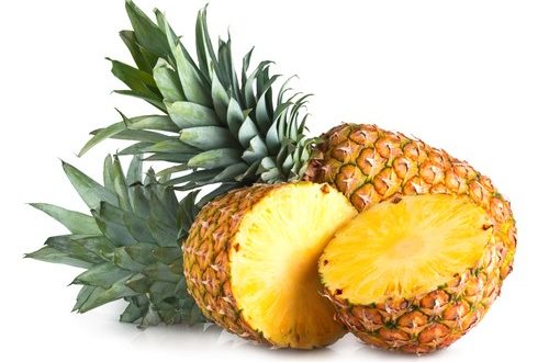 Frutos Múltiplos | Mundo Ecologia