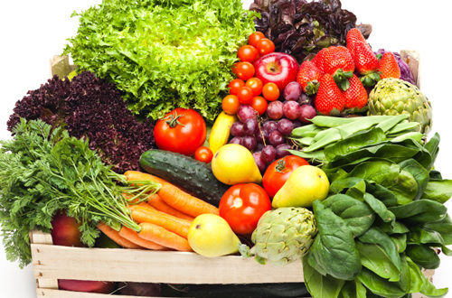 Tudo Sobre as Hortaliças | Mundo Ecologia