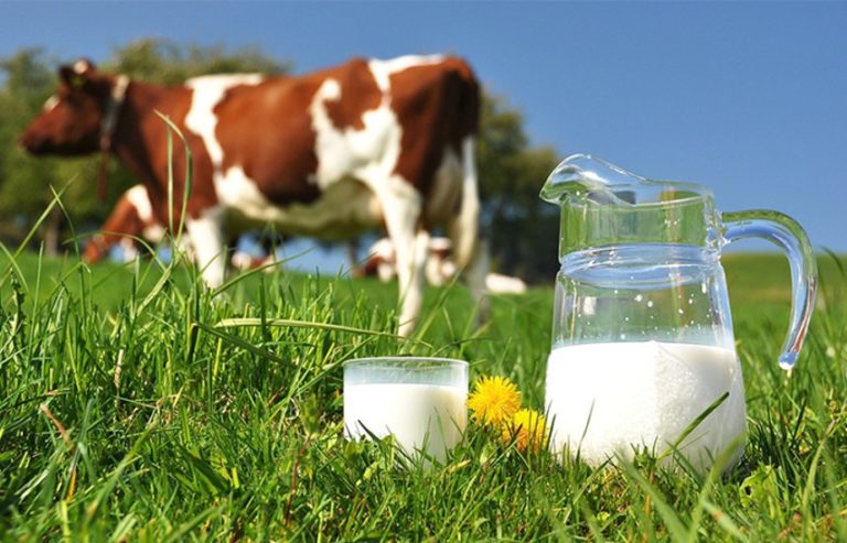 Composição Nutricional do Leite de Vaca | Mundo Ecologia
