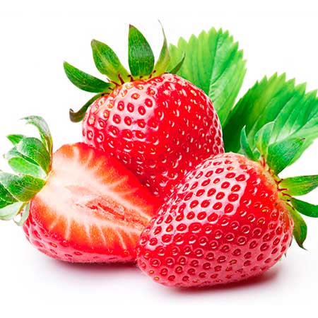 Tipos de Frutos Biologia | Mundo Ecologia