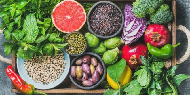 Tipos de Vegetais | Mundo Ecologia