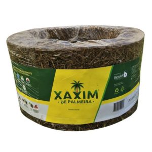 Planta Xaxim Como Cuidar – Mundo Ecologia