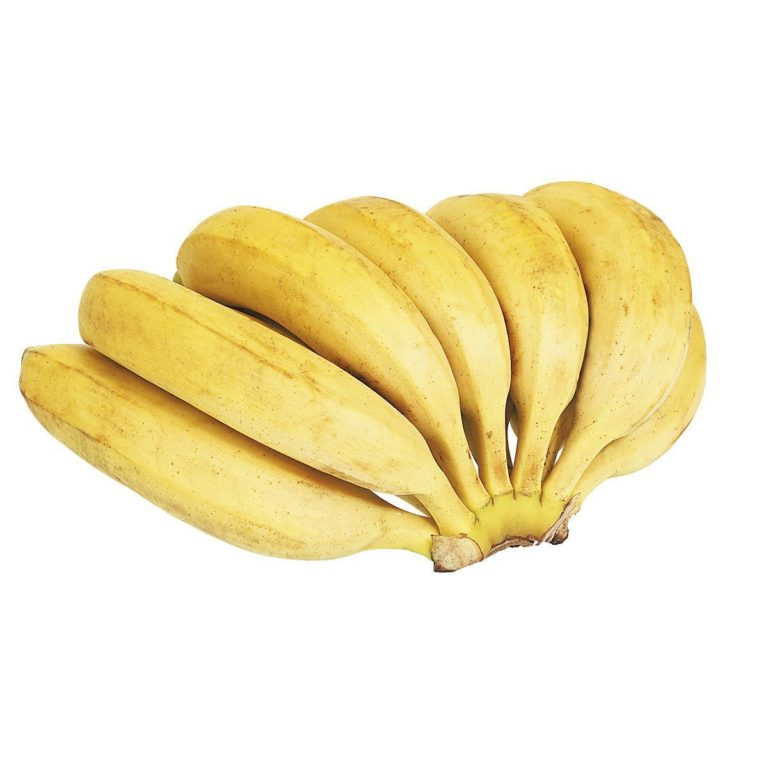 As Variedades de Bananas Brasileiras | Mundo Ecologia