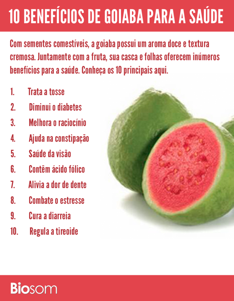 Goiaba é um Fruto ou Pseudofruto? – Mundo Ecologia