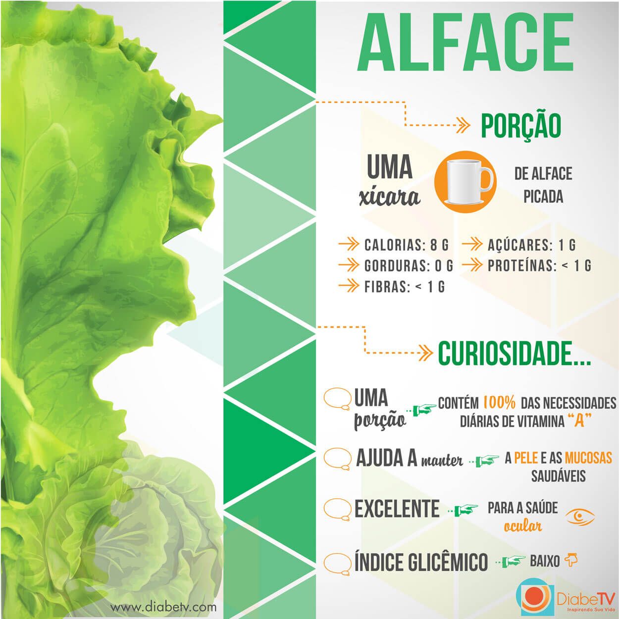 Alface Americana – Mundo Ecologia
