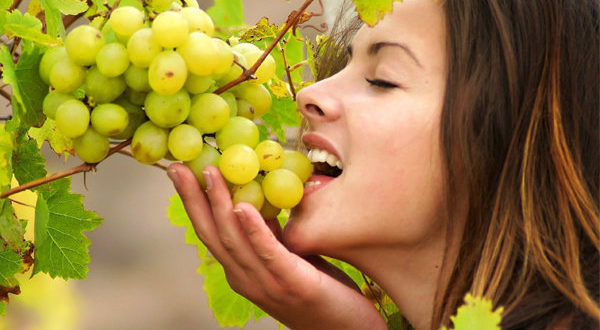 Uva é Fruto ou Pseudofruto? | Mundo Ecologia