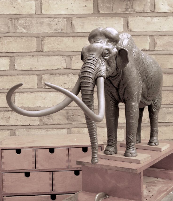 Elefante Anão de Chipre: Características, Fotos e Fósseis – Mundo Ecologia