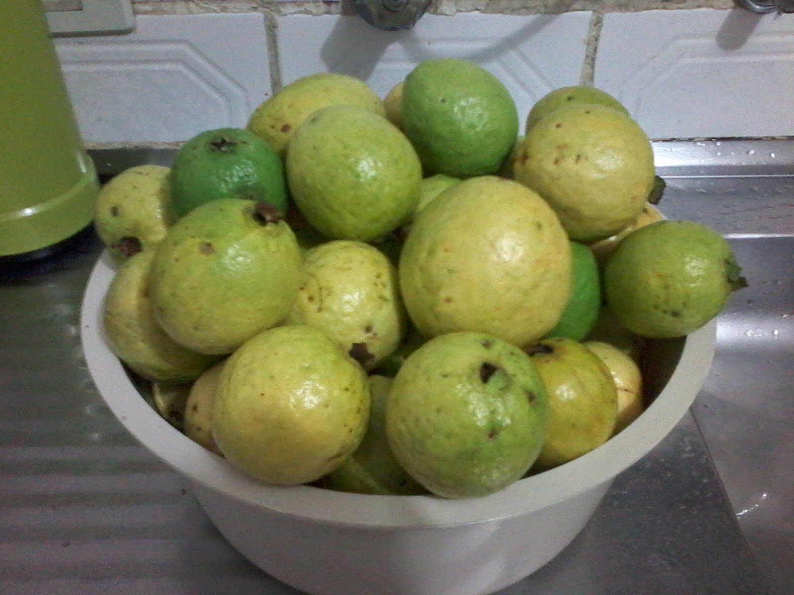 Goiaba é um Fruto ou Pseudofruto? – Mundo Ecologia