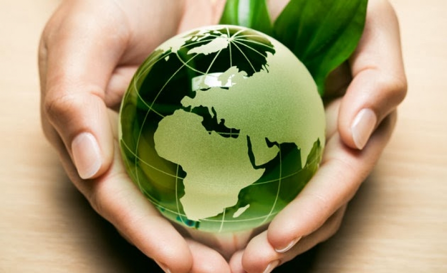 A Ecologia Como Ciência | Mundo Ecologia