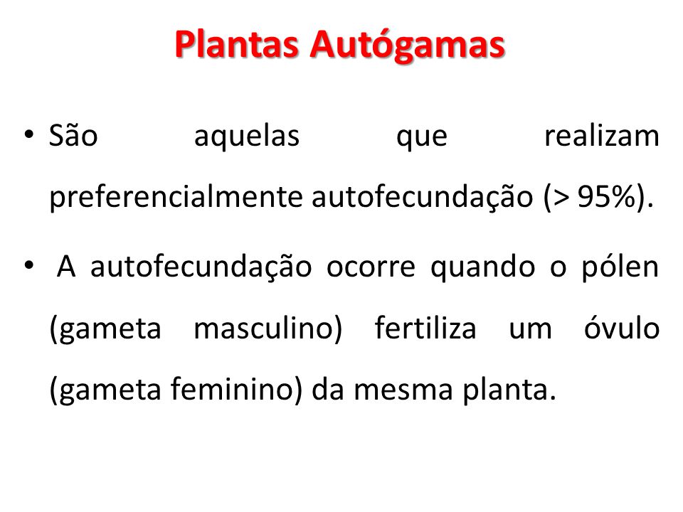 Alface Autogama: Você Conhece? – Mundo Ecologia