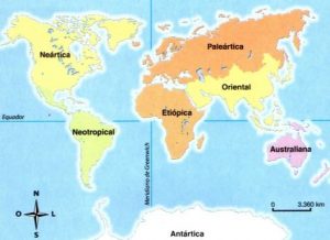 História da Biogeografia | Mundo Ecologia