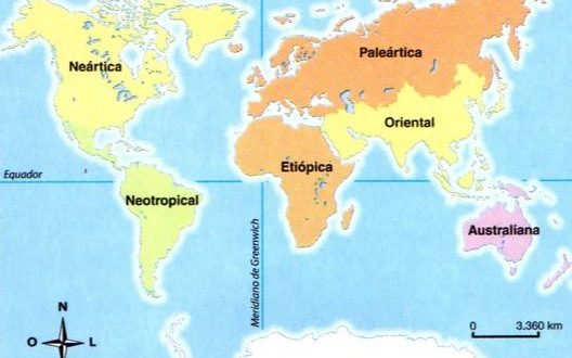 História da Biogeografia | Mundo Ecologia