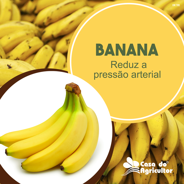 O Poder da Banana | Mundo Ecologia