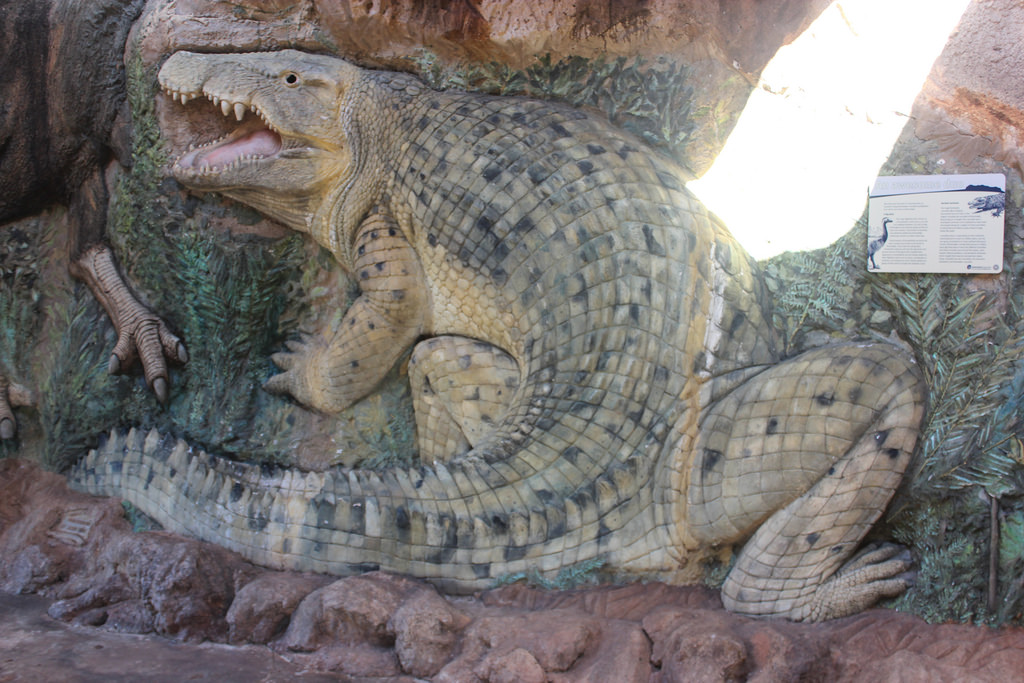 Animais Extintos na Austrália | Mundo Ecologia