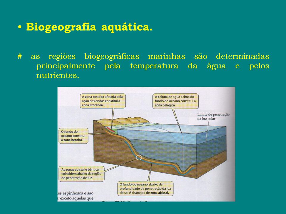 Importância da Biogeografia | Mundo Ecologia