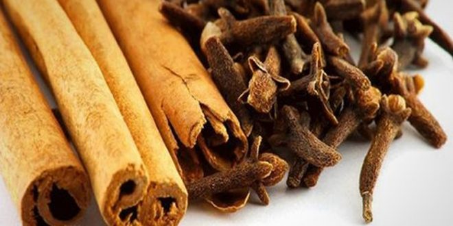 Árvore de Cravo e Canela Imagens e Características | Mundo Ecologia