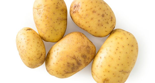 Batata é Legume ou Verdura? | Mundo Ecologia
