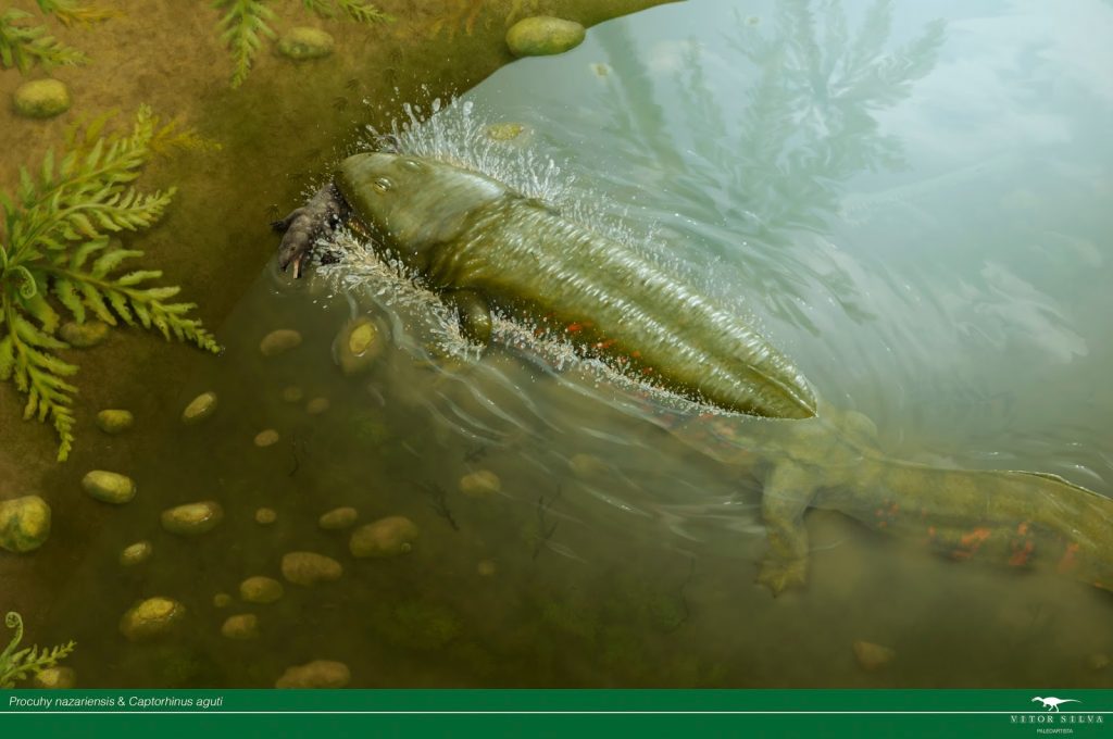 Anfíbios Extintos no Brasil | Mundo Ecologia