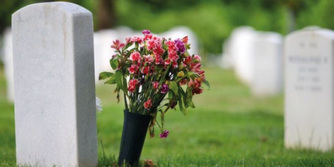 Por Que Levar Flores Para os Mortos? | Mundo Ecologia