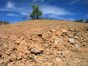 Solo Calcário no Brasil – Mundo Ecologia