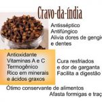 Pé de Cravo Arvore Imagens – Mundo Ecologia