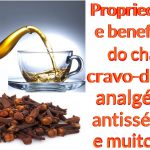 Pé de Cravo Arvore Imagens – Mundo Ecologia