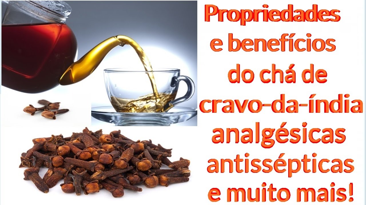 Pé de Cravo Arvore Imagens – Mundo Ecologia