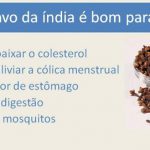 Pé de Cravo Arvore Imagens – Mundo Ecologia