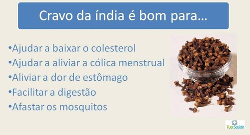 Pé de Cravo Arvore Imagens – Mundo Ecologia