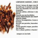 Pé de Cravo Arvore Imagens – Mundo Ecologia