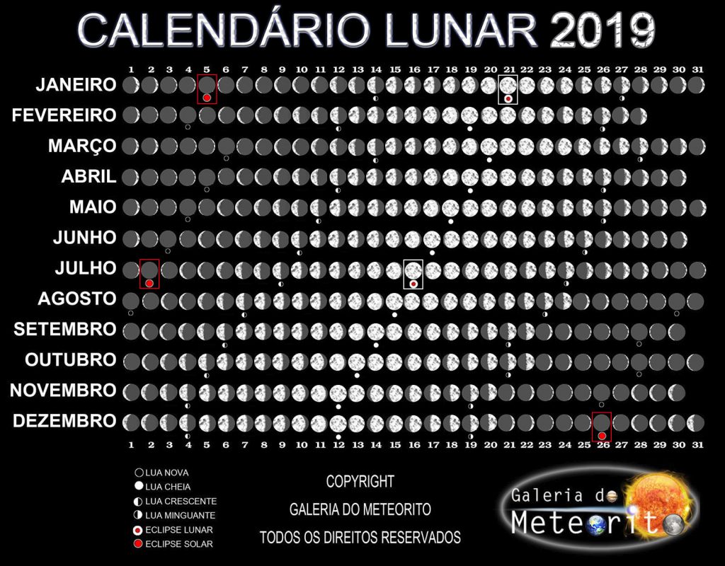 Qual a Melhor Lua Para Plantar Orquídeas? – Mundo Ecologia