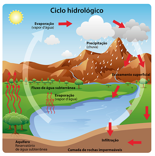 Ciclo Hidrológico: Etapas e Fases | Mundo Ecologia