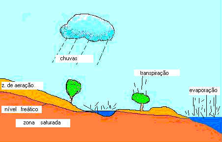 Características da Hidrosfera, Seus Biomas e Fenômenos | Mundo Ecologia
