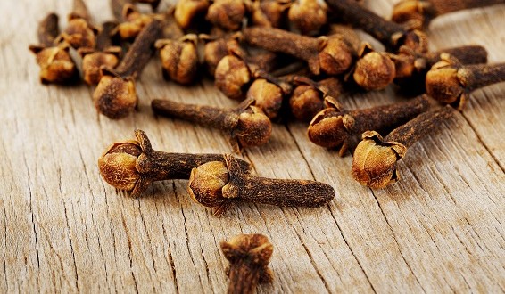 Como Fazer Muda de Cravo | Mundo Ecologia