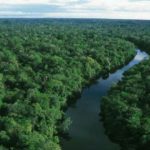 Bioma Floresta Amazônica Resumo – Mundo Ecologia