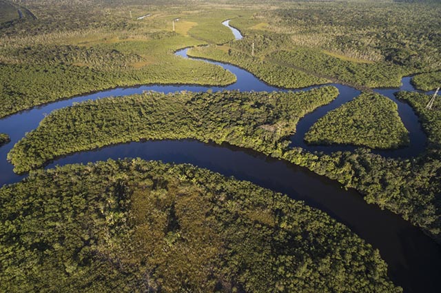Bioma Floresta Amazônica Resumo – Mundo Ecologia