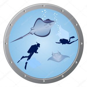 Tudo Sobre Arraias Com Imagens | Mundo Ecologia