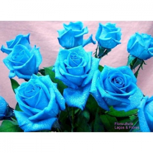 Rosa Azul: História, Significado e Fotos | Mundo Ecologia