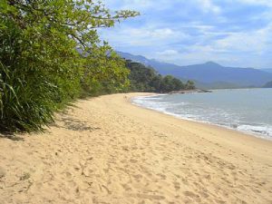 Tudo Sobre O Solo Arenoso: Como Recuperá-lo? Por que ele existe ...