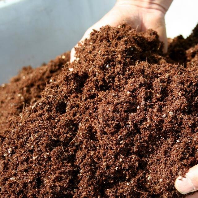 Como Fazer um Minhocário Passo a Passo | Mundo Ecologia